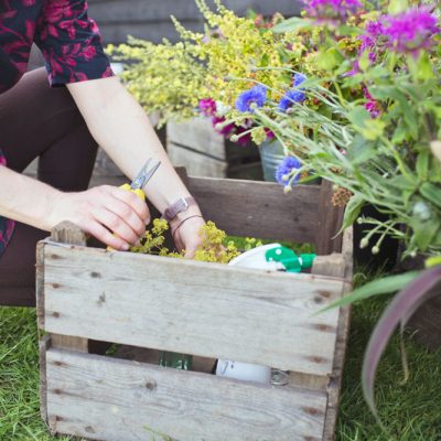 Courses & Workshops - Blooming Green - Seasonal British Wedding Flowers